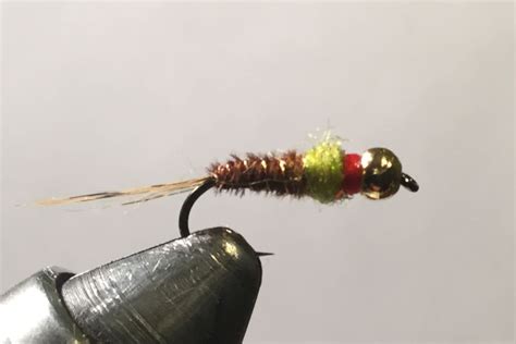 Epic Fly Tying A Frenchie Nymph Frosty Fly