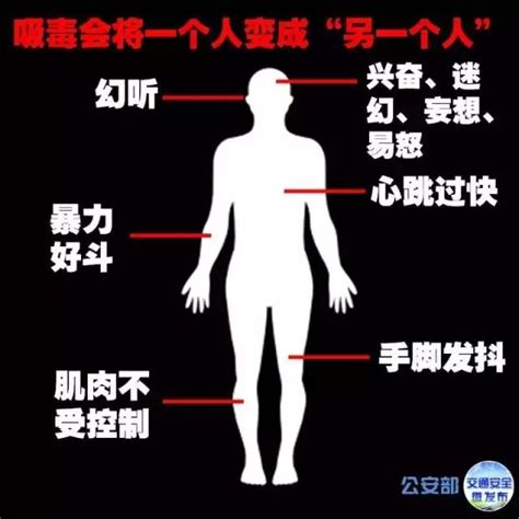 國際禁毒日珍愛生命拒絕毒駕 每日頭條