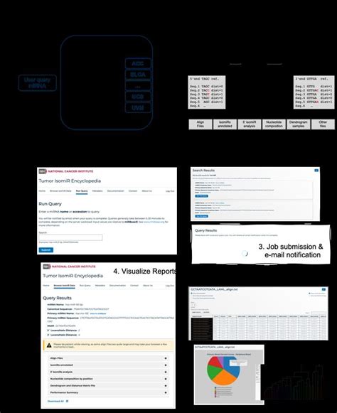 Structure Of The Tumor IsomiR Encyclopedia Algorithm And Outputs A