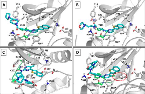 Homology Model And Docking Studies Of Pf Pk6 Inhibitors Proposed