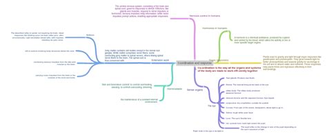 Coordination And Response Coggle Diagram