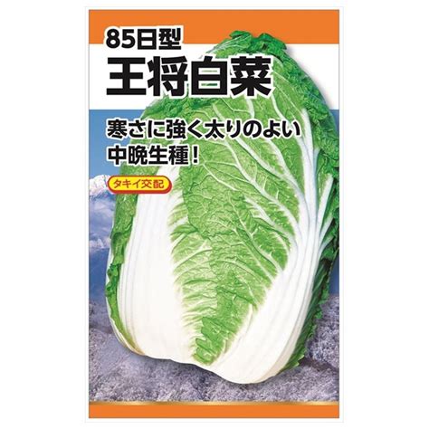 【楽天市場】白菜 【タキイ交配 王将白菜】 種・小袋 （15ml） F1（一代交配種）：苗木部 By 花ひろばオンライン