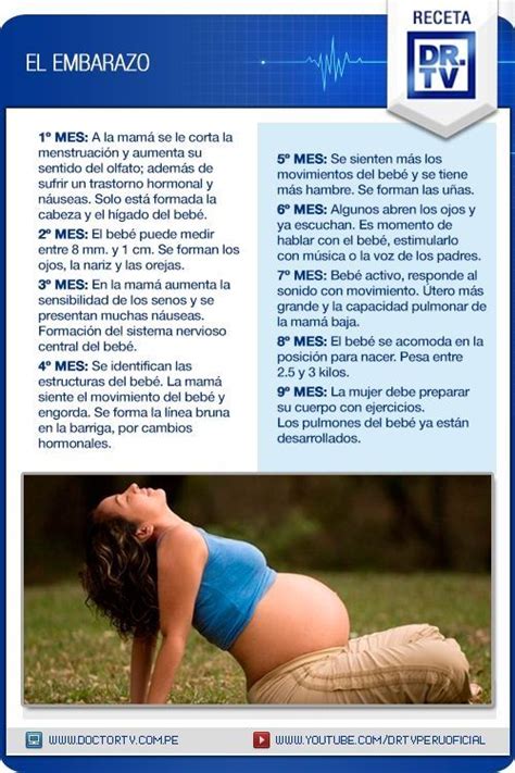 Embarazó Mes A Mes Embarazo Embarazo Y Parto Embarazo Mes A Mes