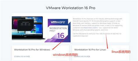 vmware装macos12系统 刘小白的小窝