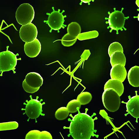 The Next Generation Of Weapons Against Antibiotic Resistant Superbugs