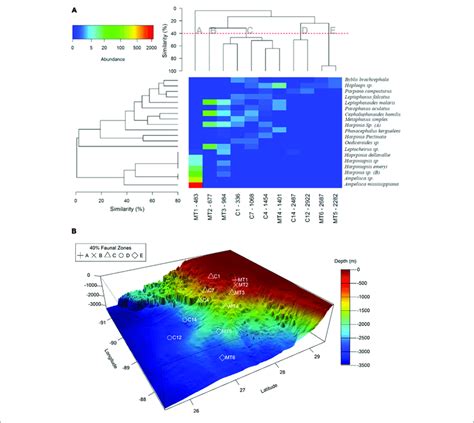 Two Way Cluster Analysis Using Bray Curtis Similarity Between