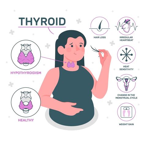 Tsh Test Explained Normal Ranges Thyroid Function And What Your