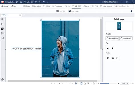 Top 5 PDF Image Extractors Available In The Market UPDF