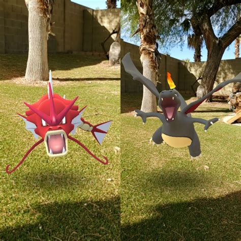 Shinys Album On Imgur
