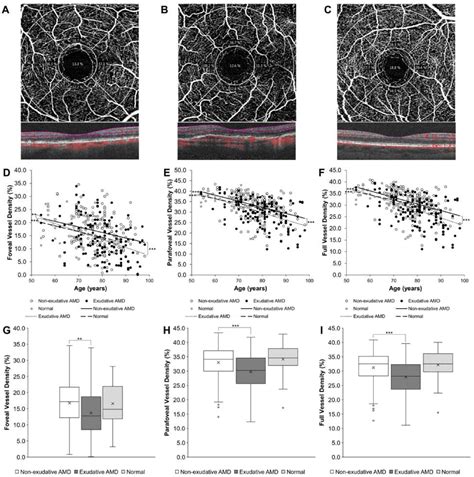 Figure 1 From Retinal Vessel Density In Exudative And Non Exudative Age
