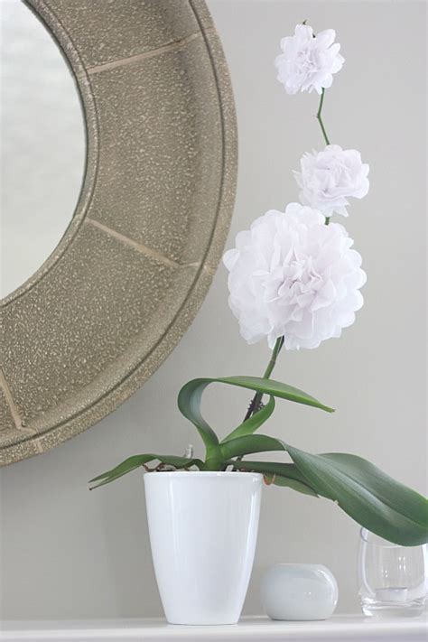 How To Make Any Orchid To Bloom All Year Round Shelterness