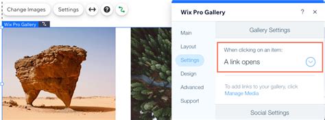 Cms Displaying Collection Content In A Pro Gallery Help Center