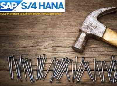 Fases SPDD y SPAU en S4HANA Consultoría SAP
