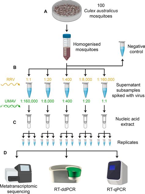 Sensitivity And Specificity Of Metatranscriptomics As An Arbovirus