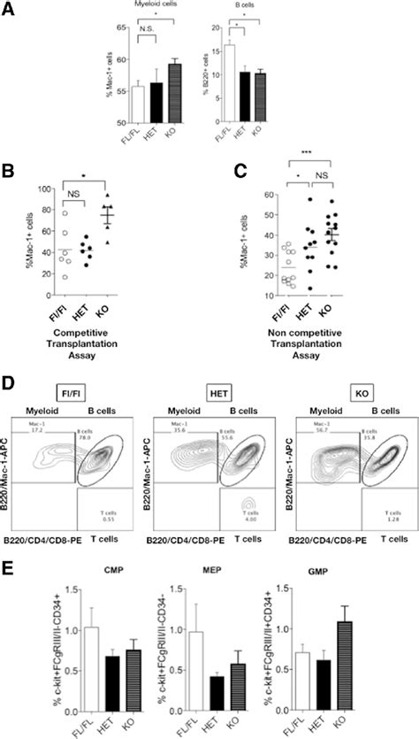 Macroh2a11 Deficiency Causes Myeloid Bias Upon Bone Marrow Bm