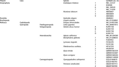 Sequences Of Calmodulin Genes Used In Phylogenetic Reconstruction Download Table
