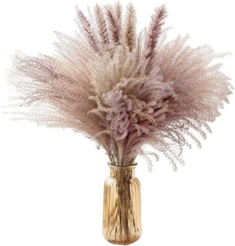 Pampas Grass 60 Cm Natural Dried Flower Decorative Dried Flowers
