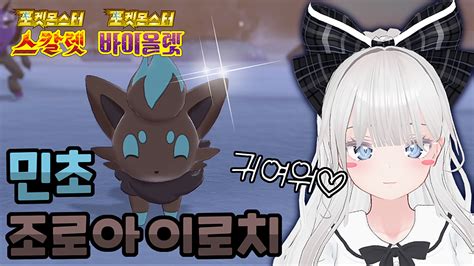 반민초를 민초파로 만드는 조로아 이로치 스칼렛 바이올렛 대비 [포켓몬 소드 실드] 네이버 Tv