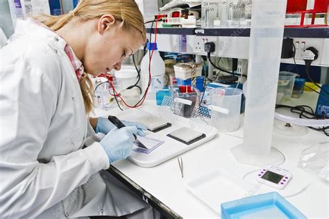 Kinase Profiling Stock Image C013 2926 Science Photo Library