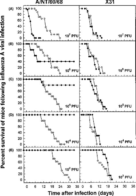 Figure 2 From Contribution Of Virus Specific Cd8 Ϩ Cytotoxic T Cells To Virus Clearance Or