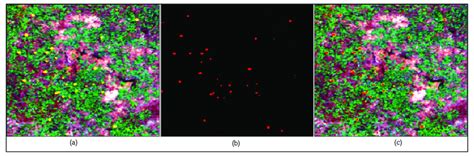 Validation At Ground Truth Location Number 11 A Actual Multispectral Download Scientific