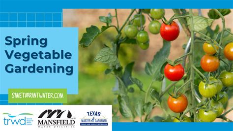Spring Vegetable Gardening Save Tarrant Water