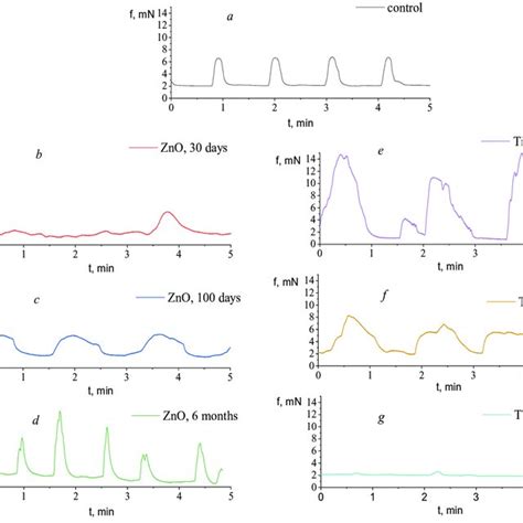 Spontaneous Contractile Activity Of The Longitudinal Smooth Muscles Of Download Scientific