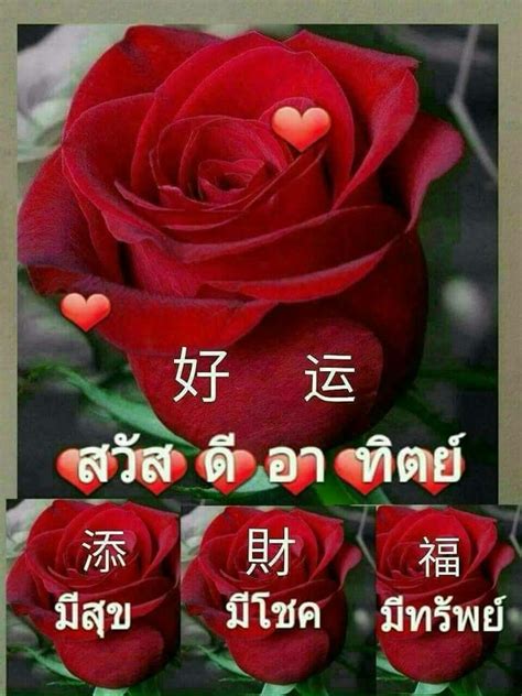 ปักพินโดย Cherd In ใน อรุณสวัสดิ์ วันอาทิตย์