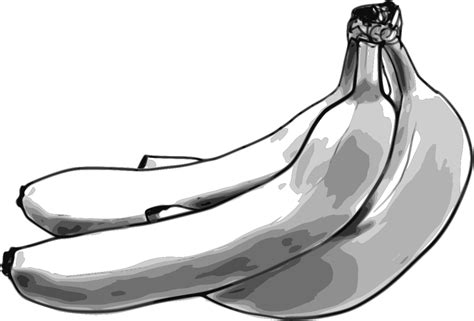 Download Free Banana Bunch Clipart 2474295 Pinclipart