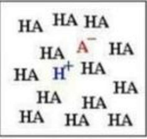 Notes Flashcards Quizlet