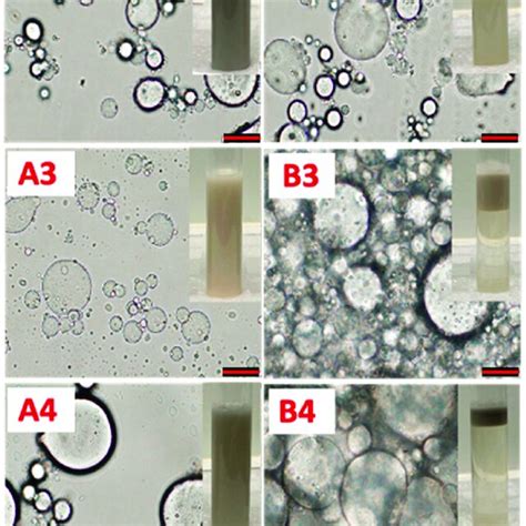 Microstructure Of Hempseed Protein Stabilised Emulsions As Imaged By An
