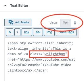 How To Add WordPress Lightbox In Elementor ThemeOO Professional Elementor Blog