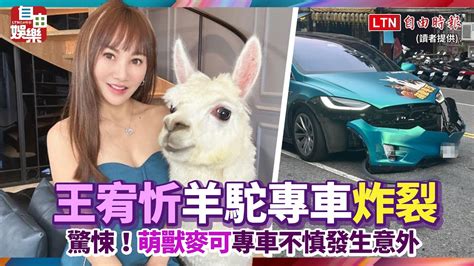 驚悚！10億女神王宥忻出事了 羊駝專車炸裂 Youtube
