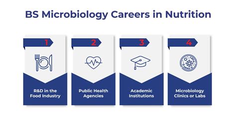 Scope Of Bs Microbiology In The Field Of Nutrition Ubas