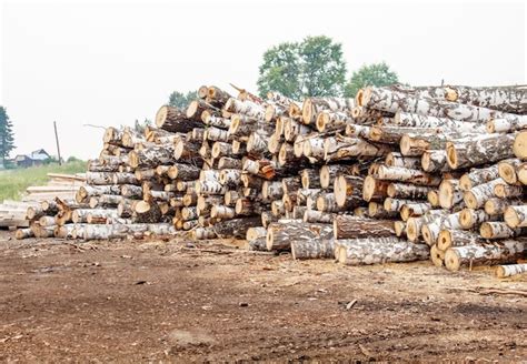 Premium Photo Stack Of Logs In Forest
