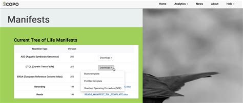 Exploring Manifest Wizard COPO Project Documentation
