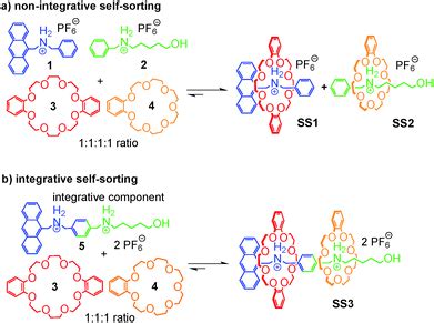 Integrative Self Sorting A Versatile Strategy For The Construction Of