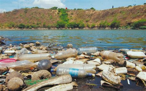 Mares Ríos Lagos Y Lagunas Se Contaminan Más En La Semana Mayor