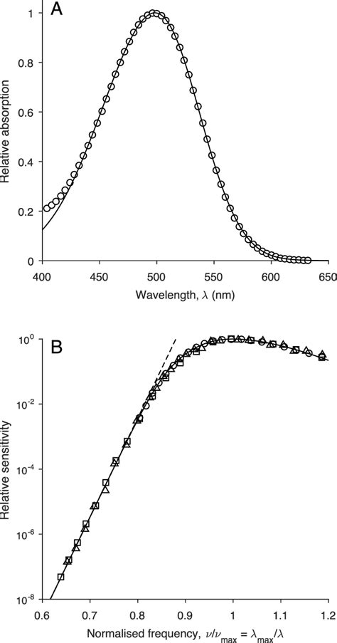 Rhodopsins Absorption Spectrum A Linear Absorption Scale Versus