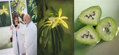 「貴婦養膚」成就elva Ni 倪晨曦無拘束享受素顏美肌！從sublimage全效再生系列頂級保養開始，飽滿撫紋綻放年輕光澤 Elle Hk