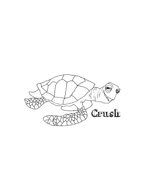 How To Draw Crush From Finding Nemo