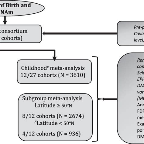 Schematic Diagram For The Season Of Birth Dna Methylation Dnam