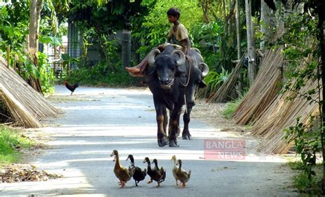 ১৫ অক্টোবর ২০২২
