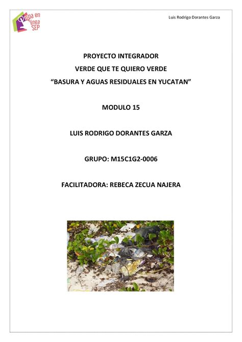 Prepa En Linea Sep Rodrigo Garza Modulo 15 Semana 4 Proyecto