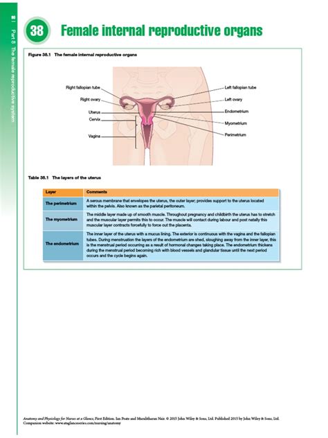 Figure 38 1 The Female Internal Reproductive Organs Pdf Uterus Pelvis
