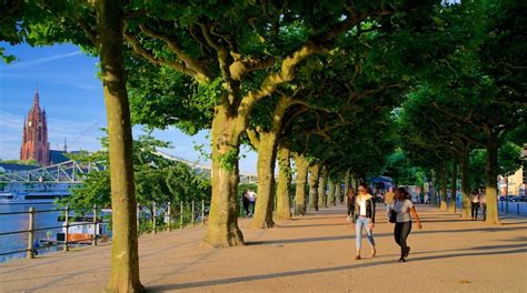 프랑크푸르트 여행 정보 꼭 가봐야할 곳 추천 리스트 And 여행 후기 익스피디아