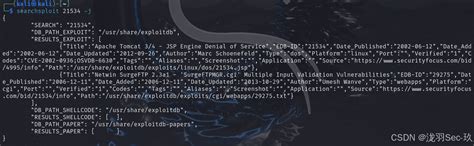 超好用的漏洞查询工具 Searchsploit Csdn博客