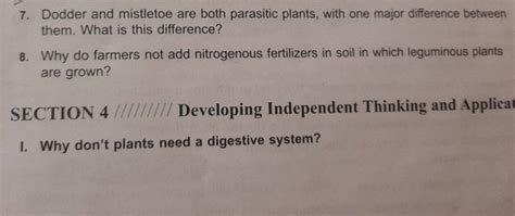 7 Dodder And Mistletoe Are Both Parasitic Plants With One Major Differe