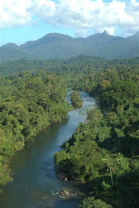 Bellezas naturales que encontrará en la reserva de la biosfera del Río