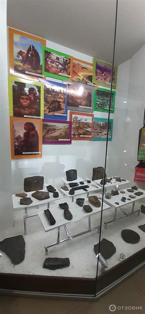 Отзыв о Новокузнецкий краеведческий музей Россия Новокузнецк Один из крупных в области и